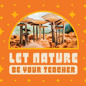 Bayba Display Font - Etsy