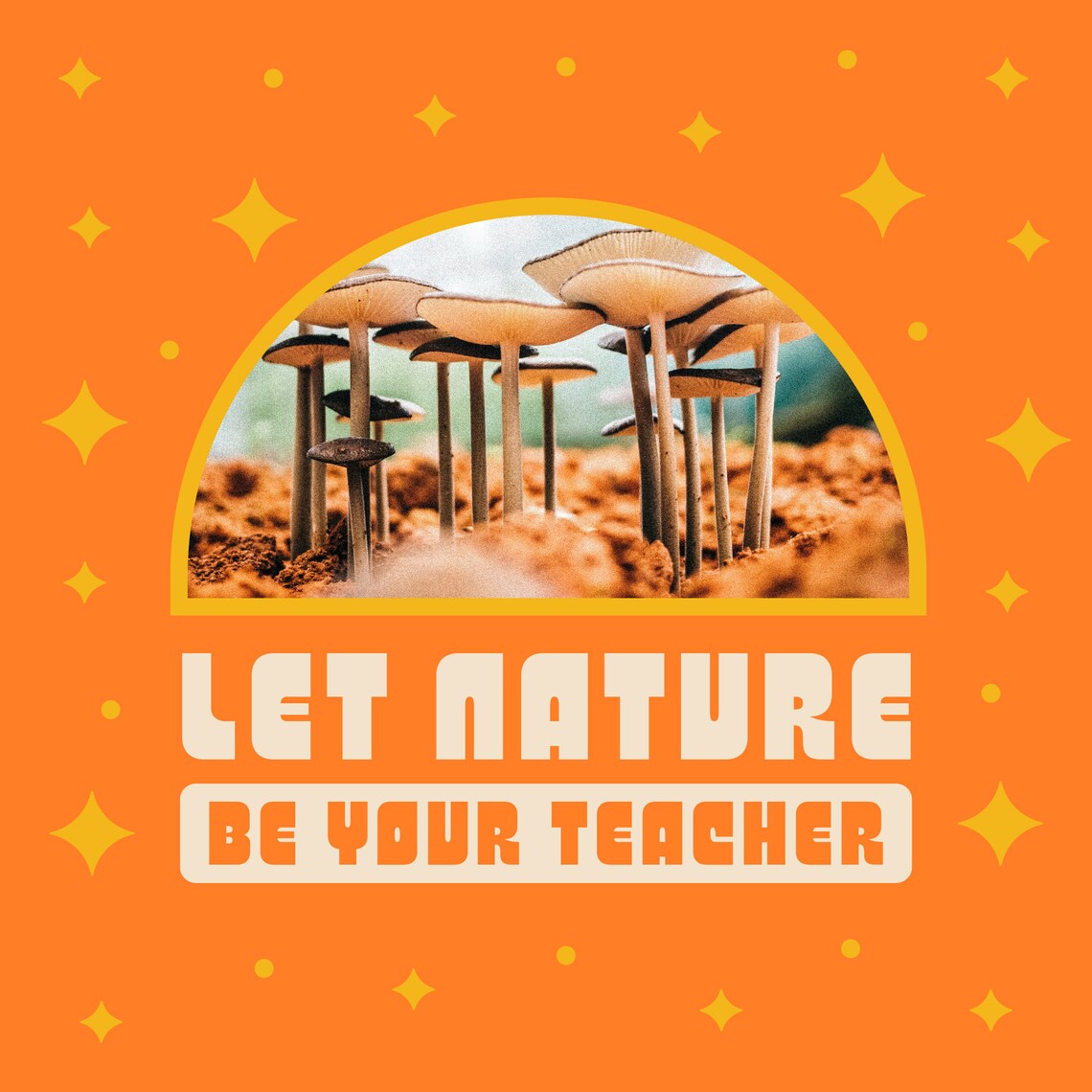 Bayba Display Font - Etsy