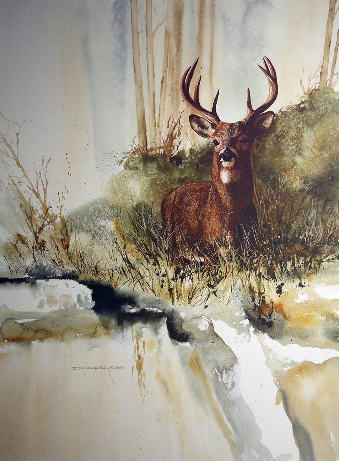 White Tail Deer, Deer Print, Deer Painting, Wildlife, Wildlife Decor ...