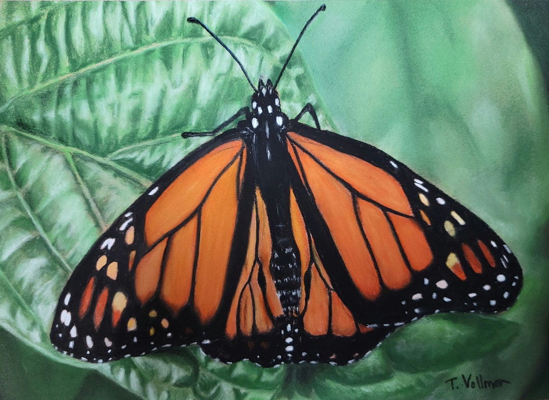 Original Pastel Painting Drawing Monarch Butterfly - Etsy
