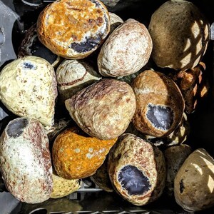 Unopened Brazilian Enhydro Geode - Etsy