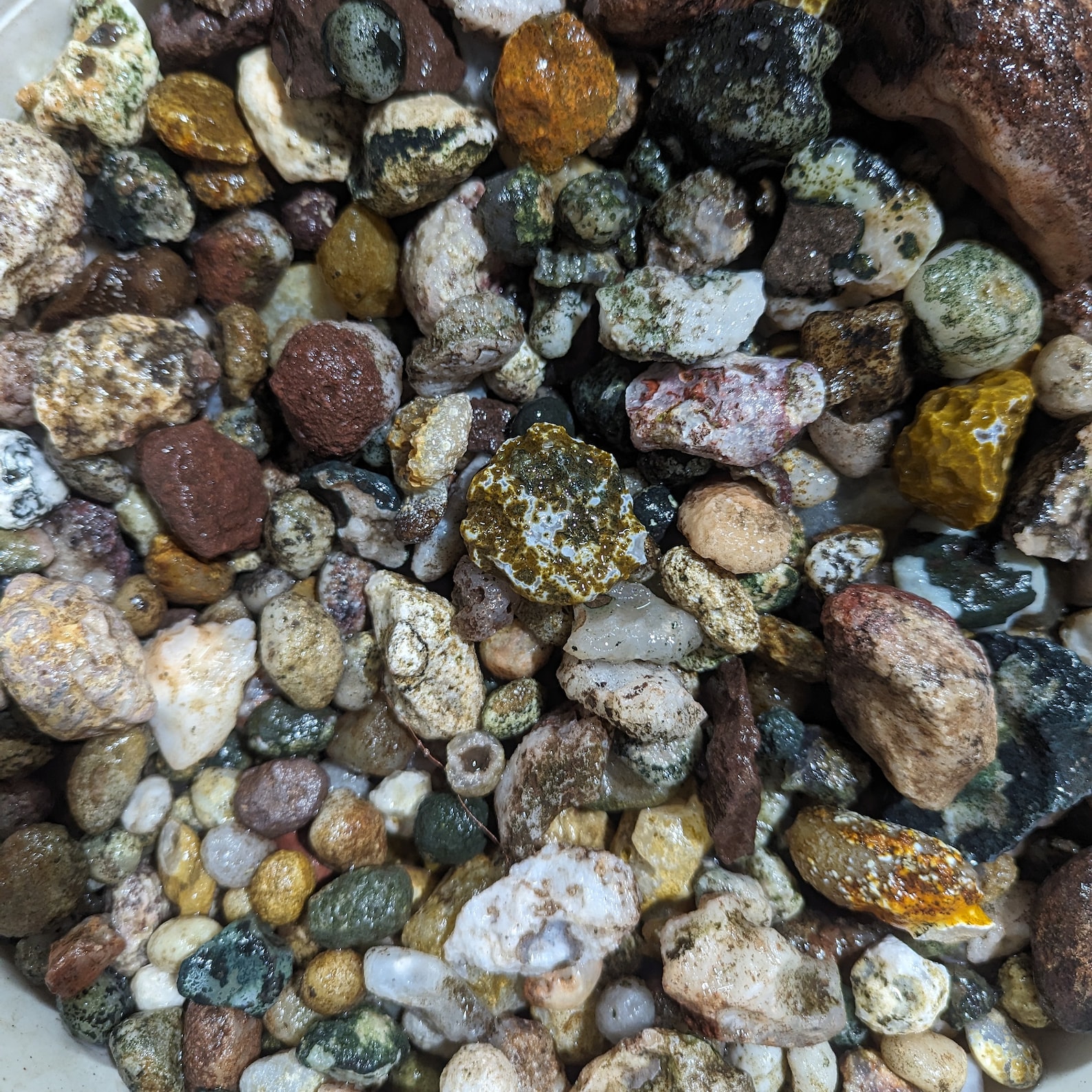 Bag of Tabasco Geodes Unopened whole Geode VERY SMALL GEODES - Etsy