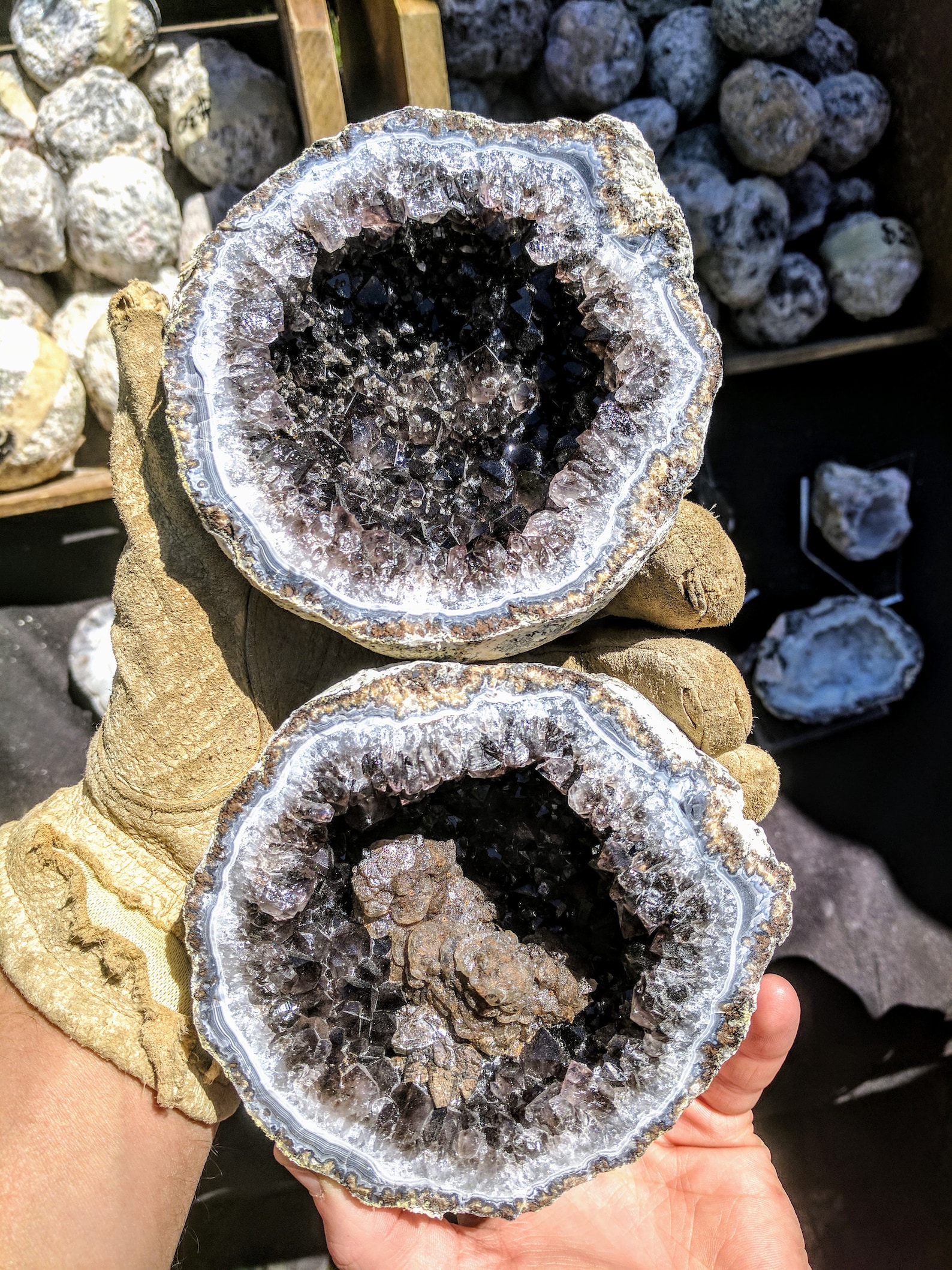 Unopened Jumbo Geode guaranteed Hollow - Etsy
