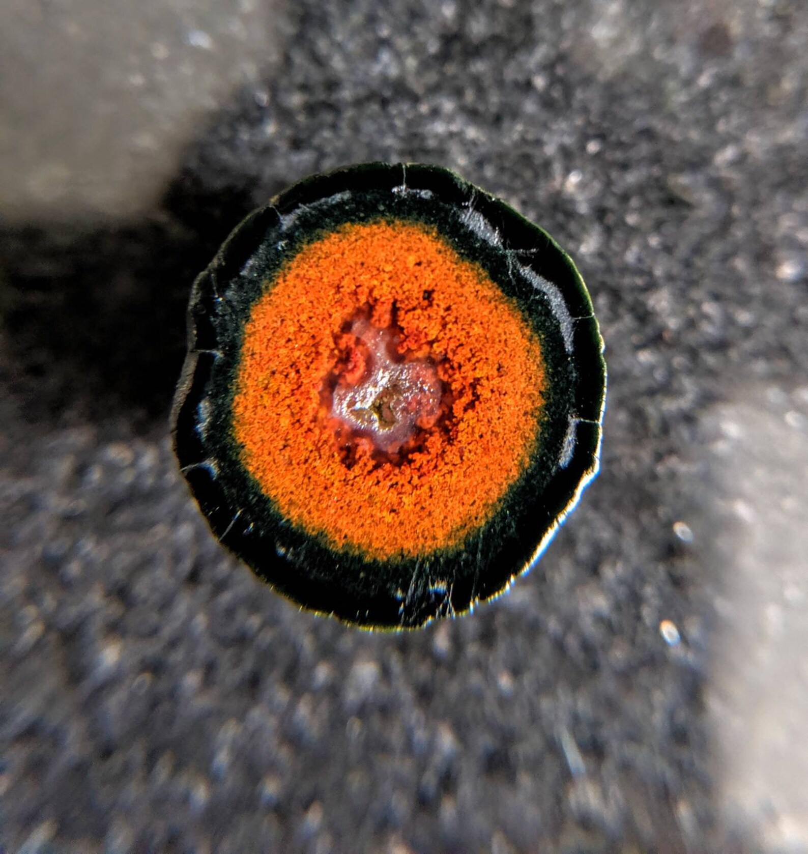 Bag of Tabasco Geodes Unopened whole Geode VERY SMALL GEODES - Etsy