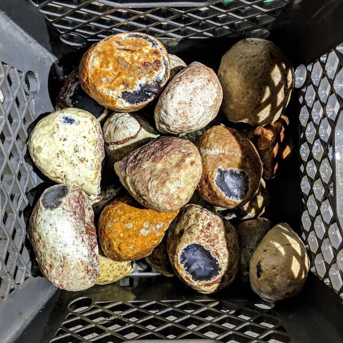 Unopened Brazilian Enhydro Geode | Etsy