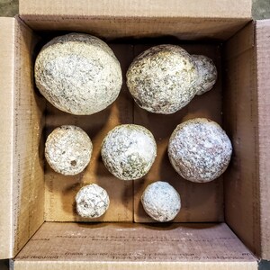 Whole Mexican Geodes (10 Geodes) - Etsy