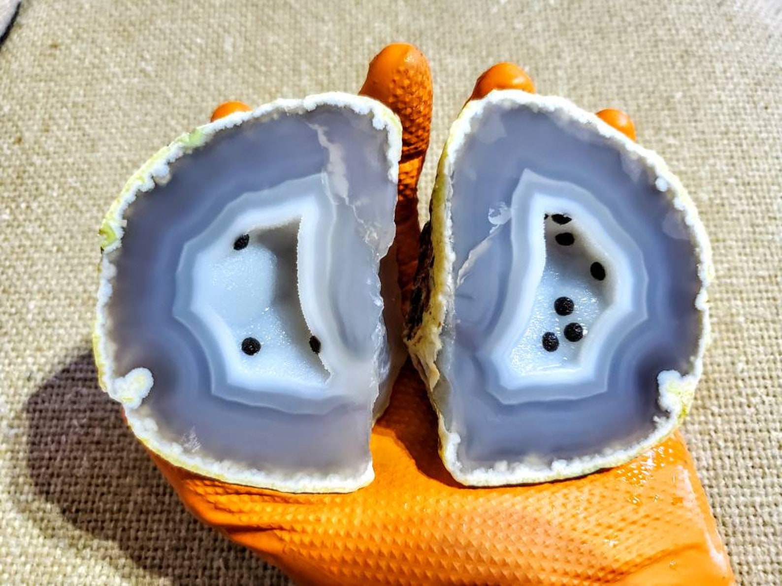 Unopened Brazilian Enhydro Geode - Etsy