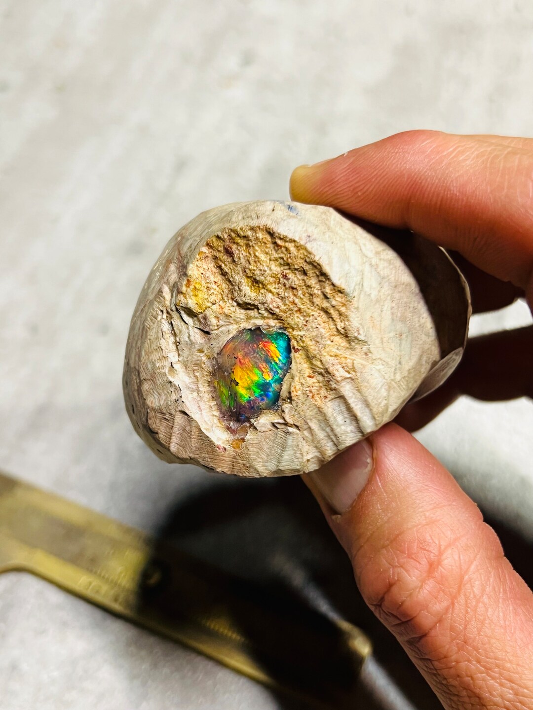 Kingdom Opal, Full Spectrum Rainbow Colors, AAA+ Rough Quarry Opal ...
