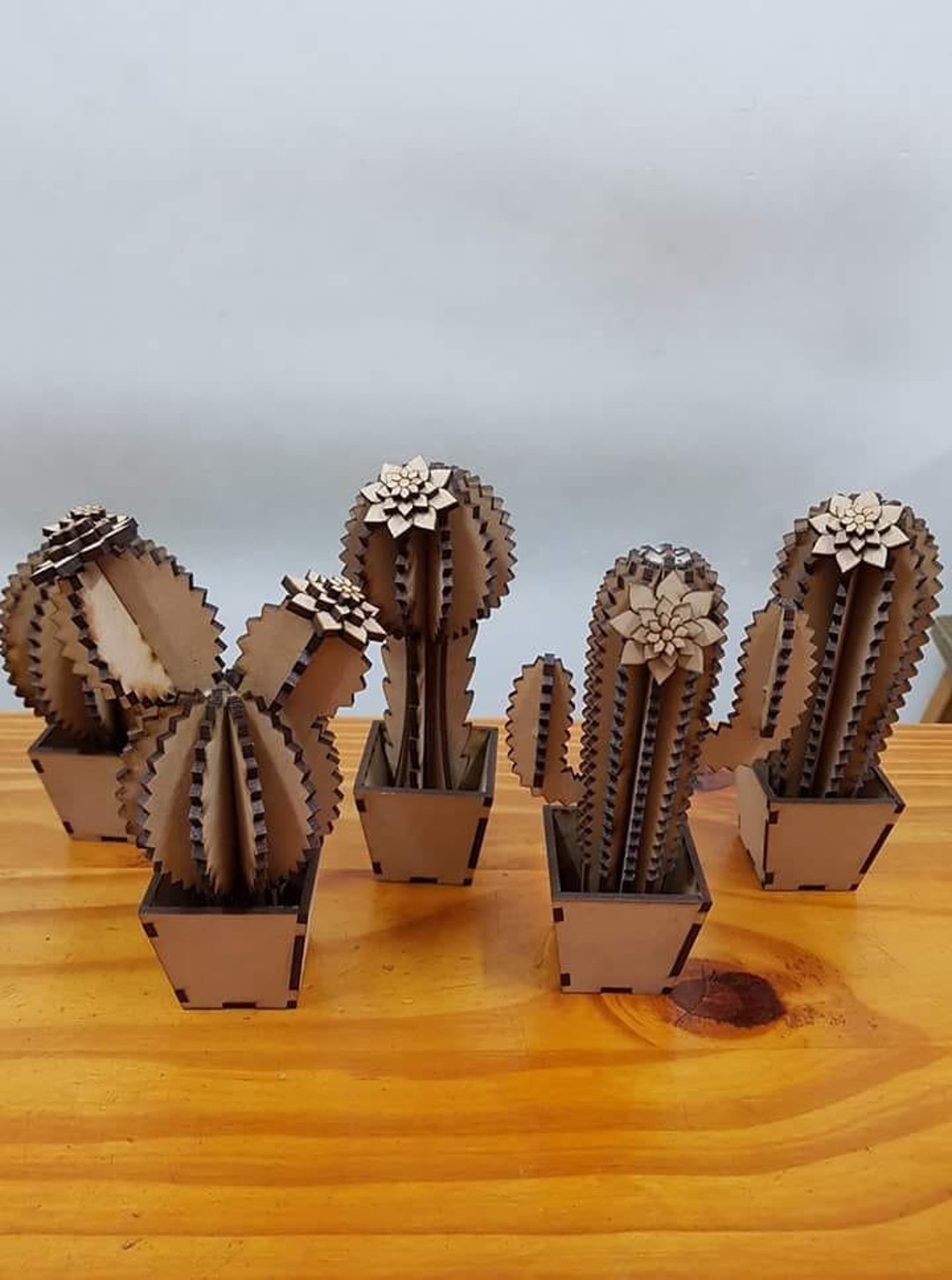 Wooden Cactus Laser Cut - Etsy
