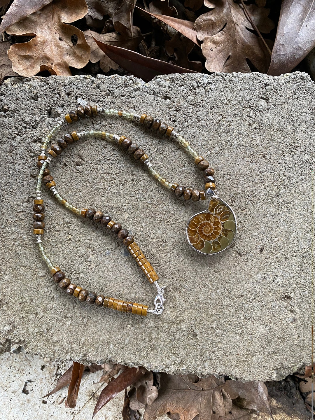 Ammonite Pendant Hung From a Strand of Bronzite, Jasper and Agate Beads ...