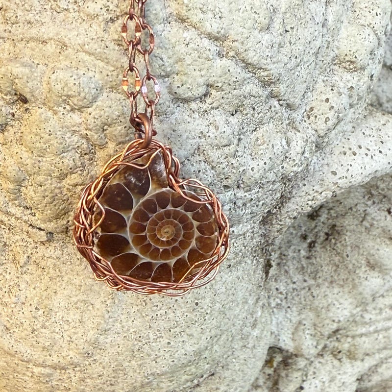 Wire Wrap Ammonite - Etsy