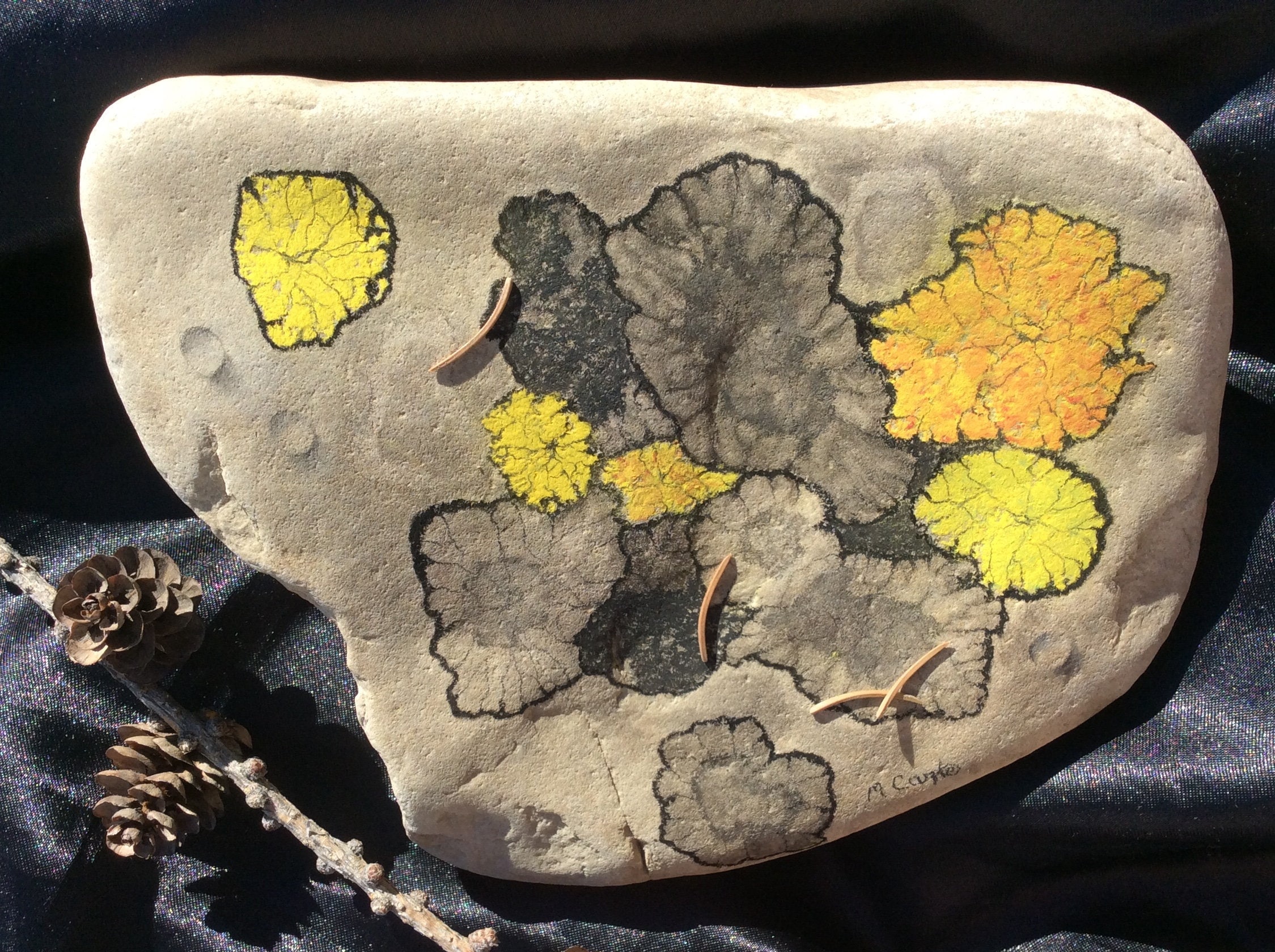 Lichens On Rock Drawing