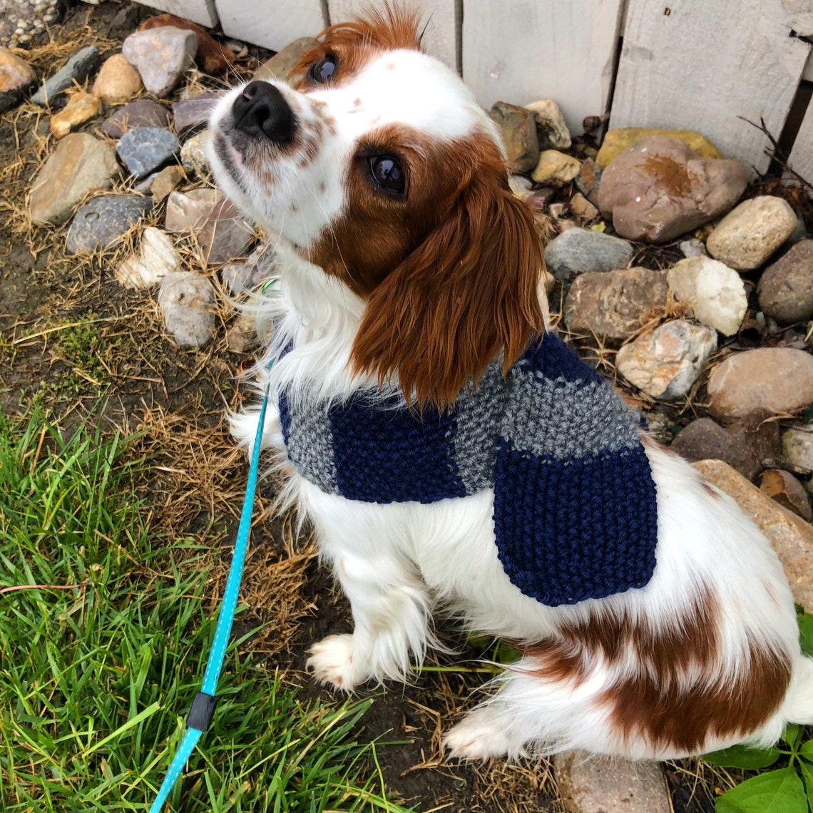 Wizard House Scarf for Dogs: SMALL Dog Costume Dog Clothes | Etsy