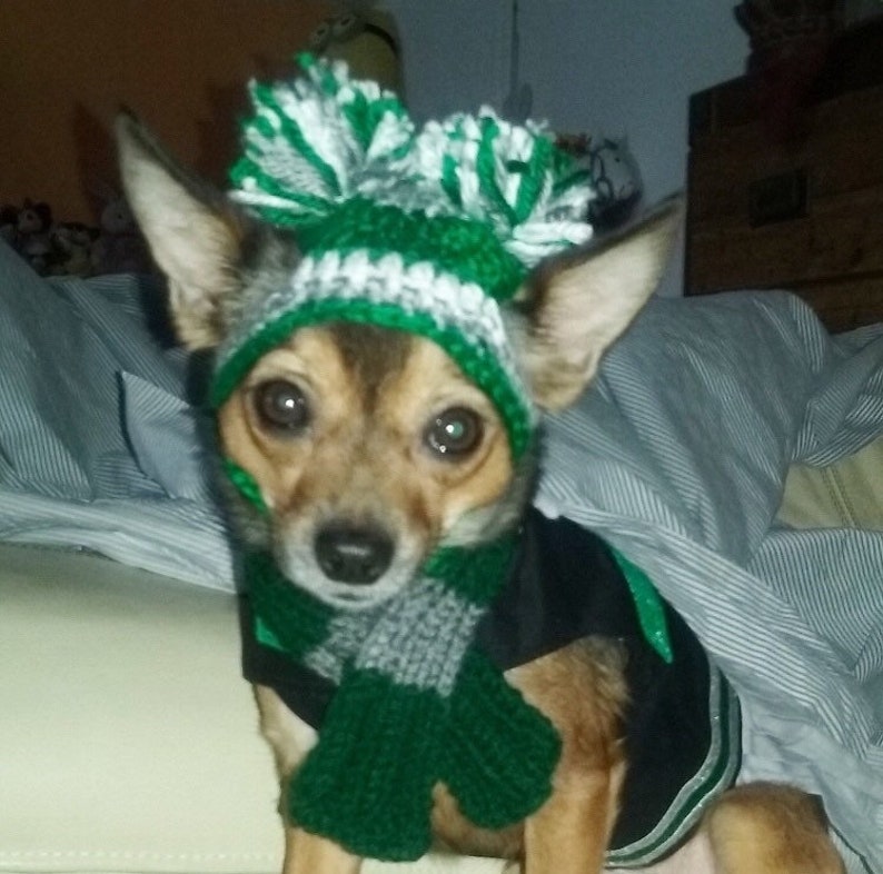 Wizard Scarf for Dogs: Extra Small Dog Costume Wizard - Etsy