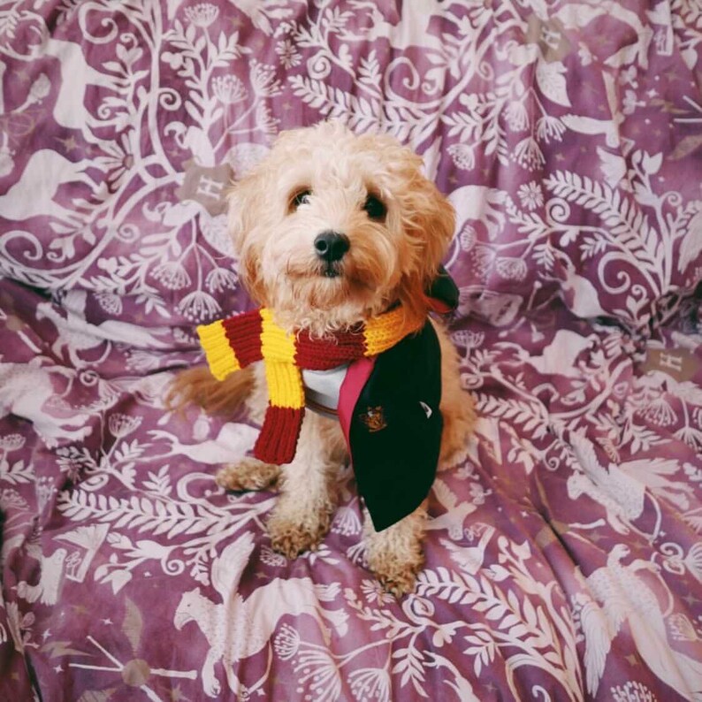 Wizard House Scarf for Dogs: SMALL Dog Costume Dog Clothes | Etsy