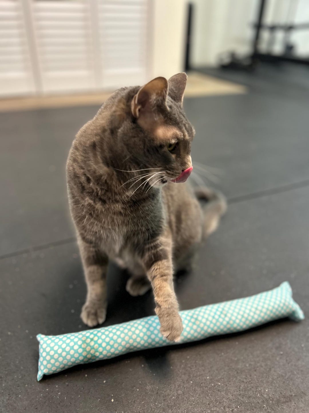 Giant 16" Catnip Kicker / Kick Stick / Large Interactive Cat Toy ...