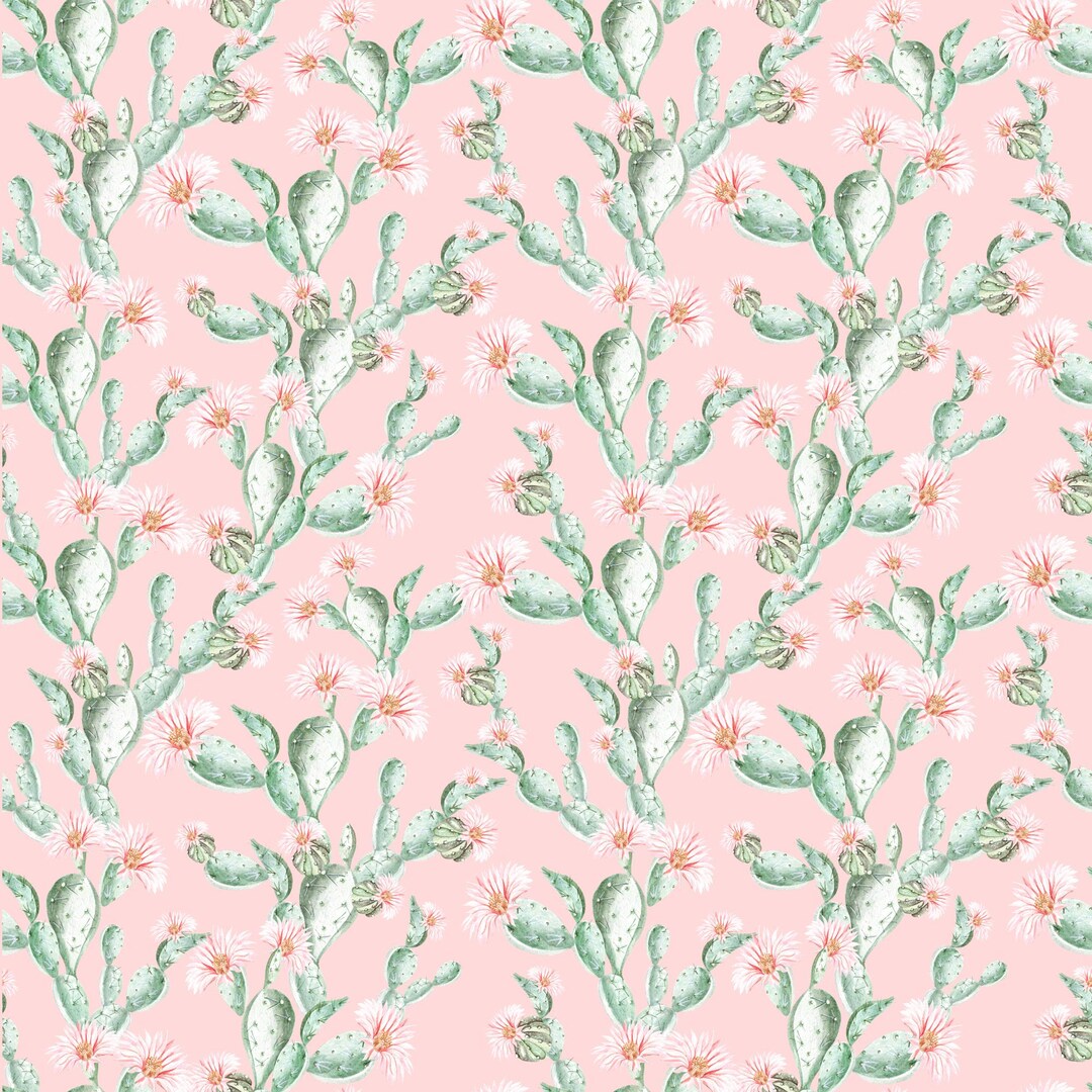 Vintage Cacti Light Pink SEAMLESS PNG - Etsy