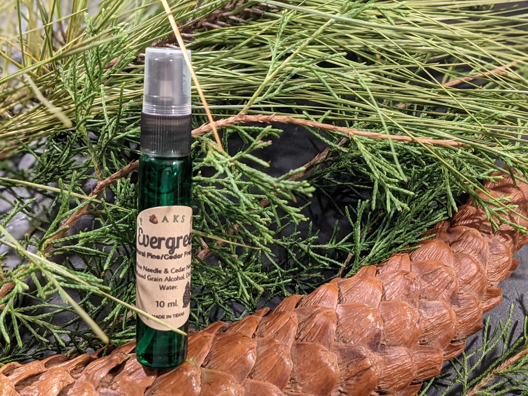 Evergreen Natural Pine/cedar Fragrance - Etsy