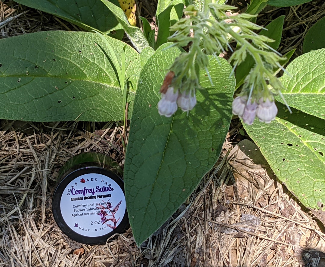 Organic Comfrey Salve Balm Ointment - Etsy