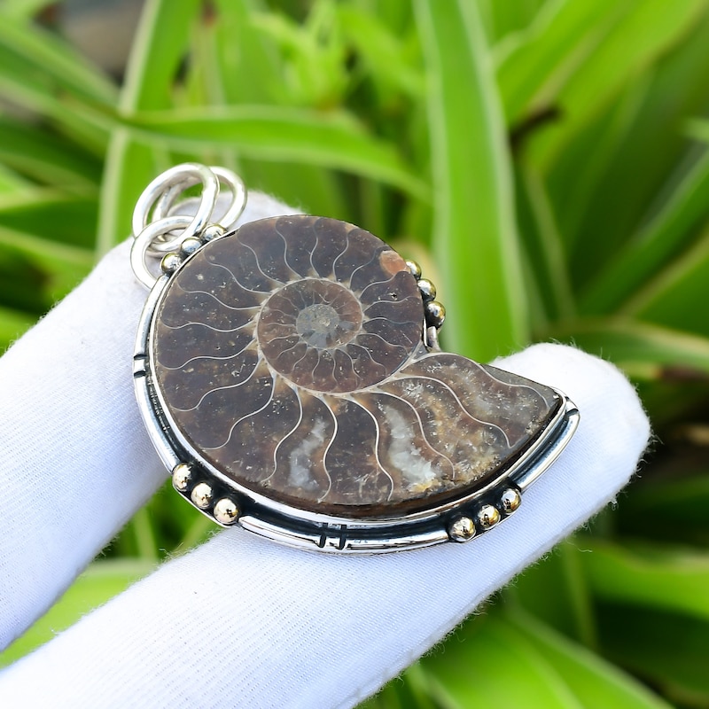 Ammonite Pendant - Etsy