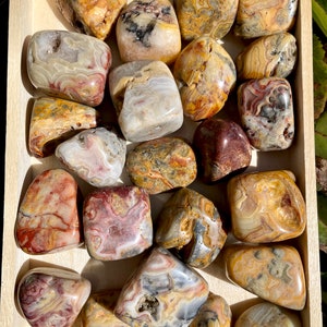 Choice CRAZY LACE AGATE Tumble, Polished Crystal Gemstone Stone Tumbles, Mexico, Spiritual Gifts ...