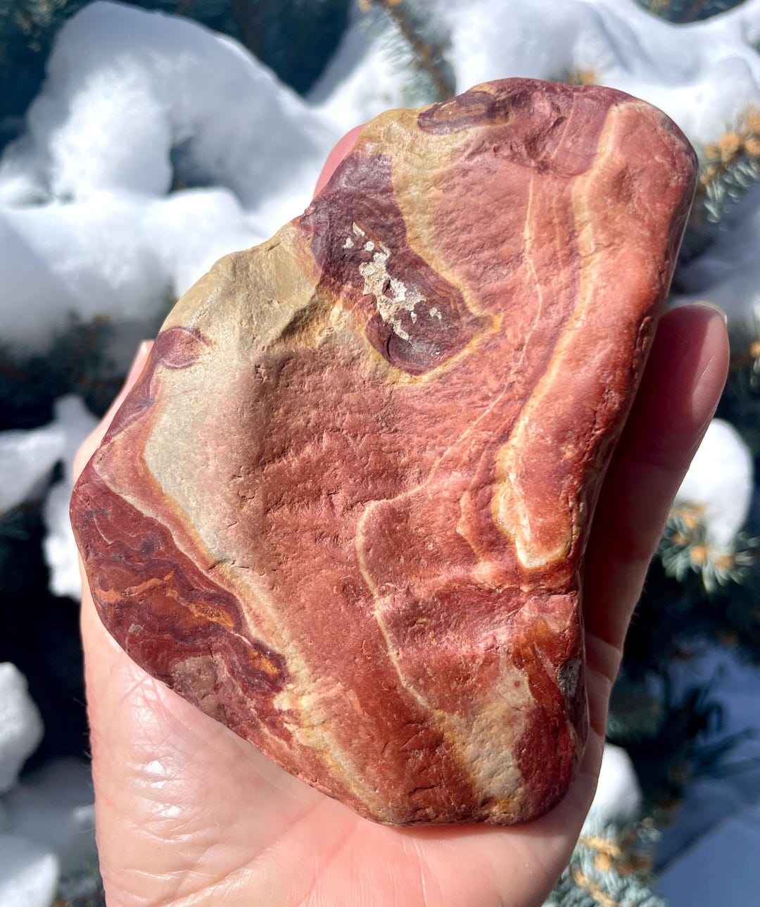 Lg RAW NEVADA WONDERSTONE Specimen, 1 Lb-5.5 Oz, Banded Rhyolite Jasper ...