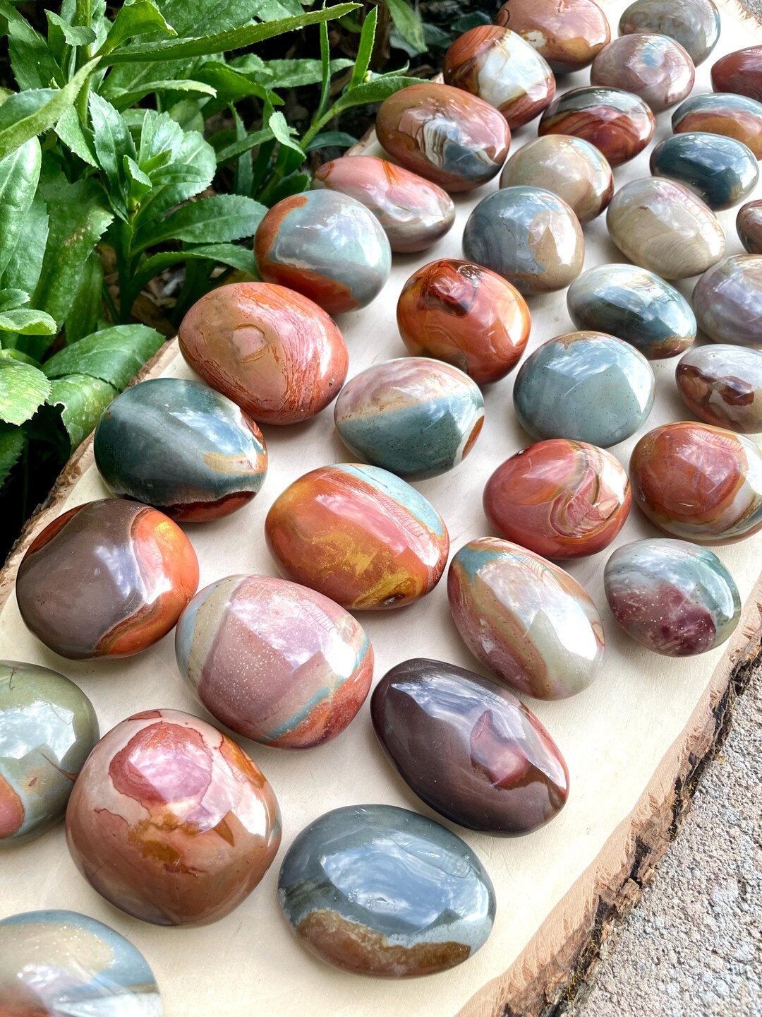POLYCHROME JASPER PALM Stone, Choice, Handcrafted Crystal, Natural ...