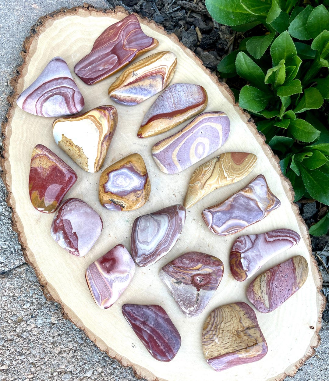 NEVADA WONDERSTONE SLAB Tumble, Choice, Polished, Rhyolite Jasper Rock ...