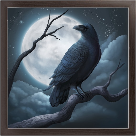 Ravens Money Clip Card Holder