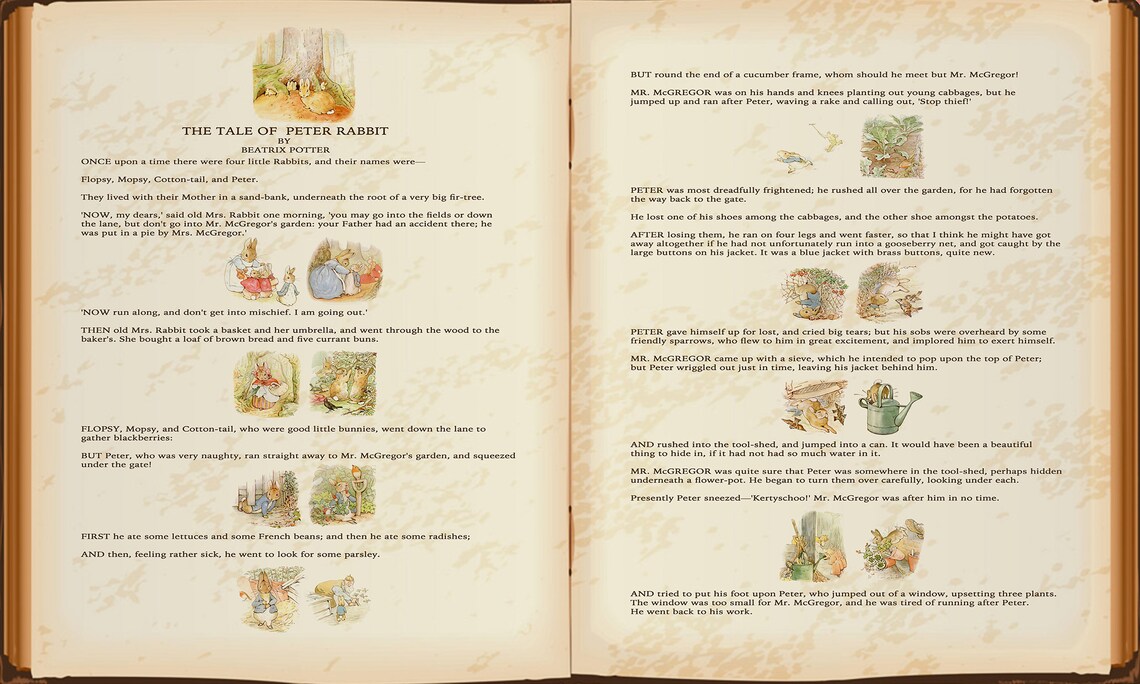 The Tale of Peter Rabbit Storybook Baby Blanket. Beatrix | Etsy