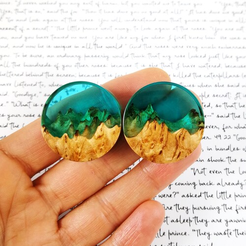 Pair of Wood Resin Plugs 0g Plugs Plugs and Tunnels 00 - Etsy
