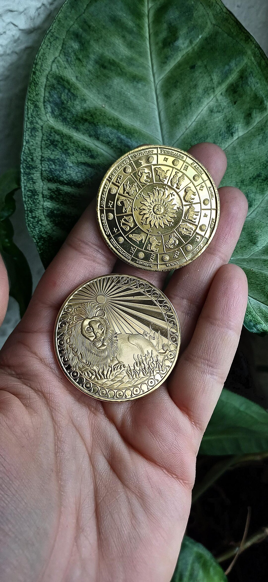 LUCKY COIN, Leo Astrological Sign Coin, Destiny Coin, Commemorative ...