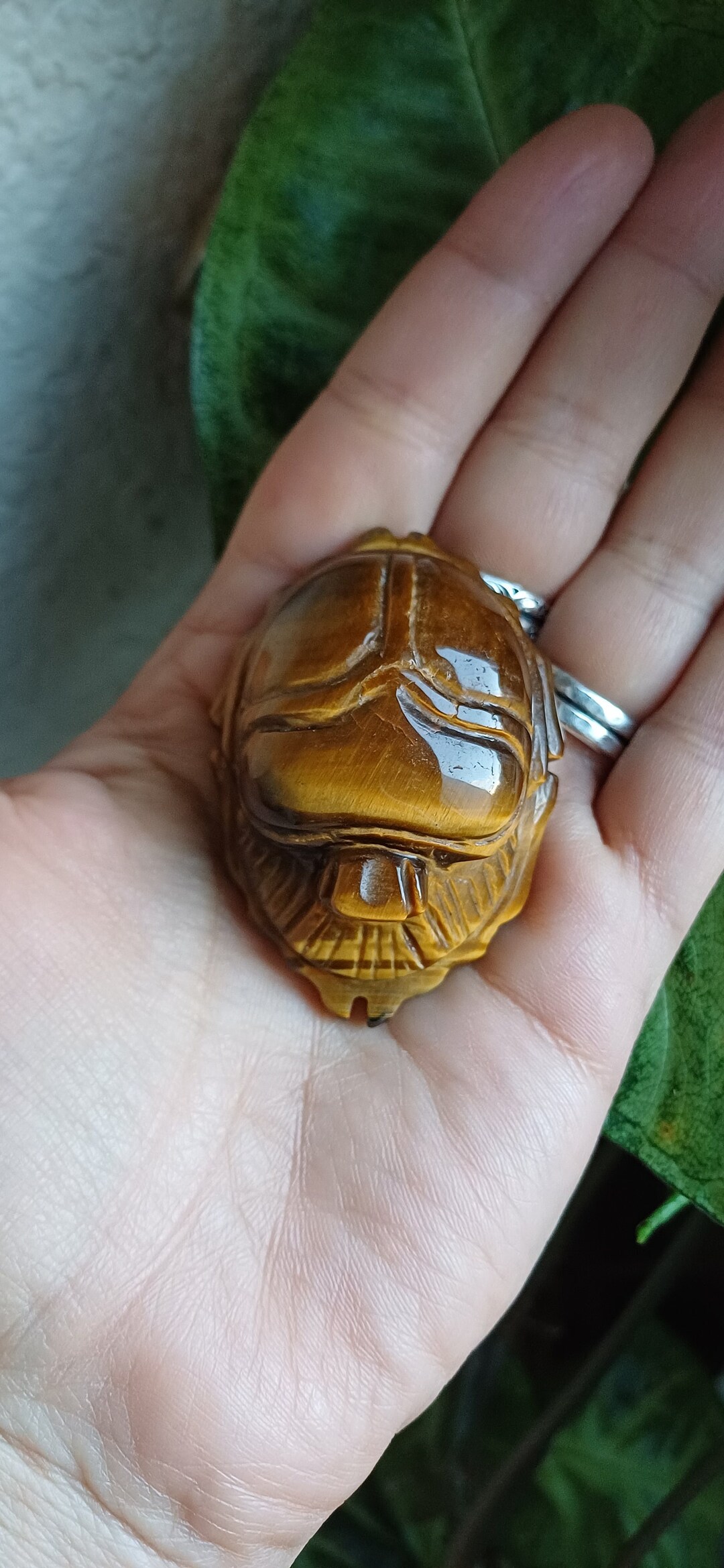 Natural Tiger's Eye Scarab, Symbol of the God Khepri, Witch's Stone ...