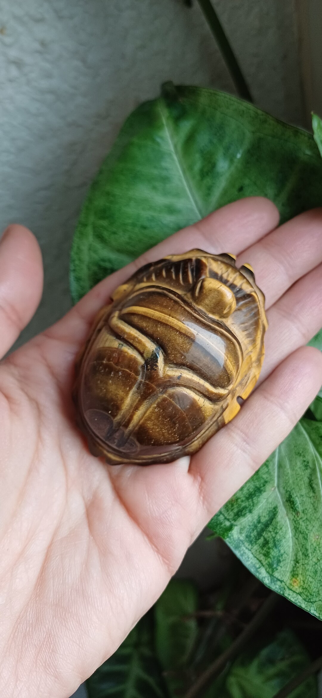 Natural Tiger's Eye Scarab, Symbol of the God Khepri, Witch's Stone ...