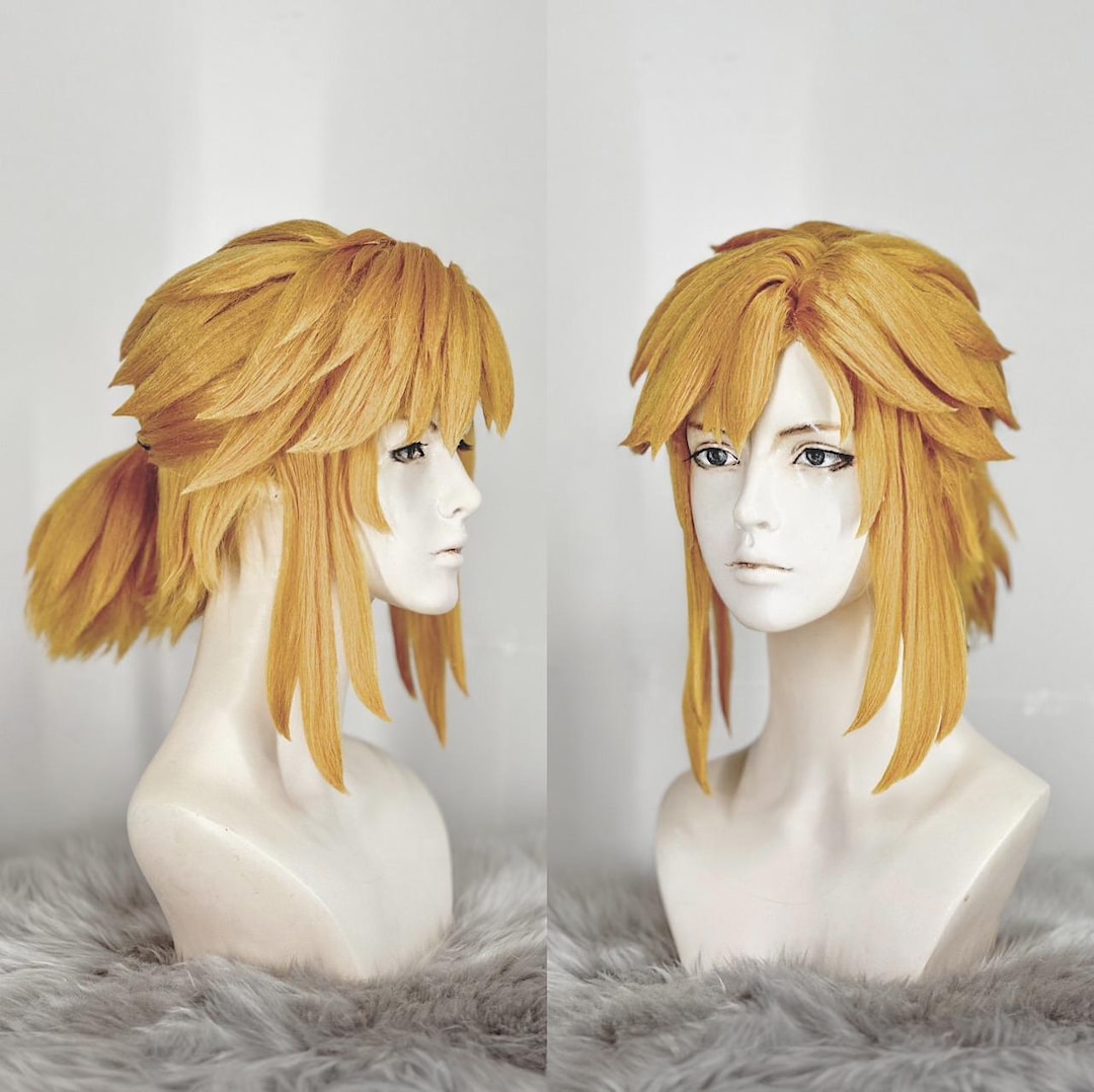 Link Botw Inspired Cosplay Wig - Etsy