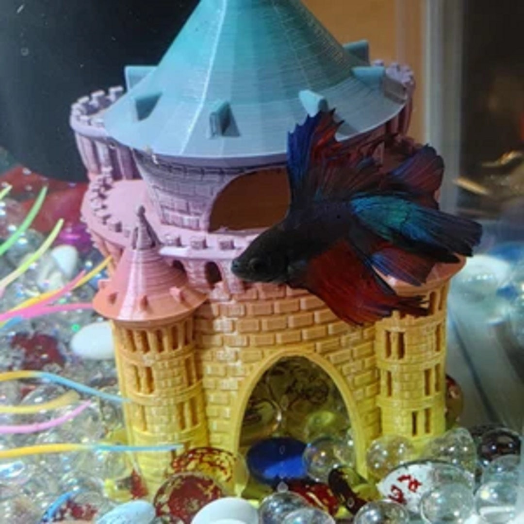 Custom Betta Keep - Etsy