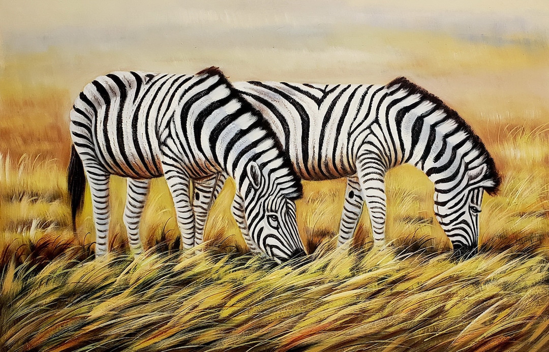 Zebra - #1, 24x36 - 100% Hand Painted Oil Painting on Canvas - Etsy