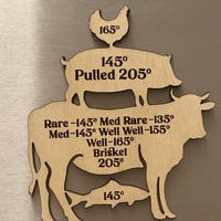 Meat Temperature Magnet: USDA Safe Cooking Temps Kitchen Guide - Etsy