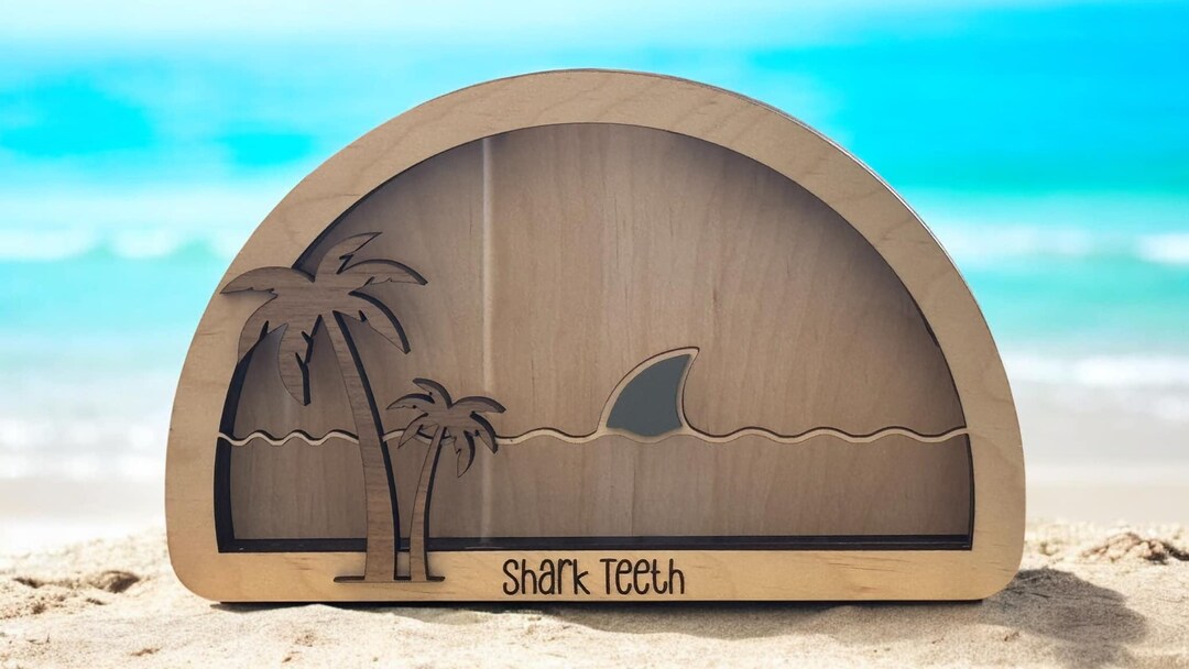 Shark Tooth Shadow Box - Beach Treasure Display for Teeth, Shells ...