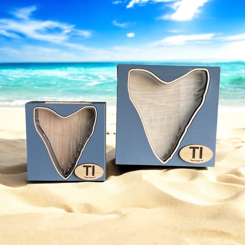 Megalodon Shark Tooth Shadow Box | Fossil Display With Acrylic - Etsy