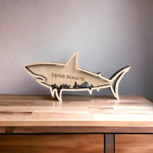 Shark Teeth Shadow Box Beach Vacation Tooth Treasures Home Decor Beach ...