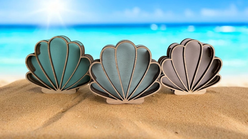 Sea Shell Shadow Box Decor, Beach Treasure Display, Glass, Shells ...
