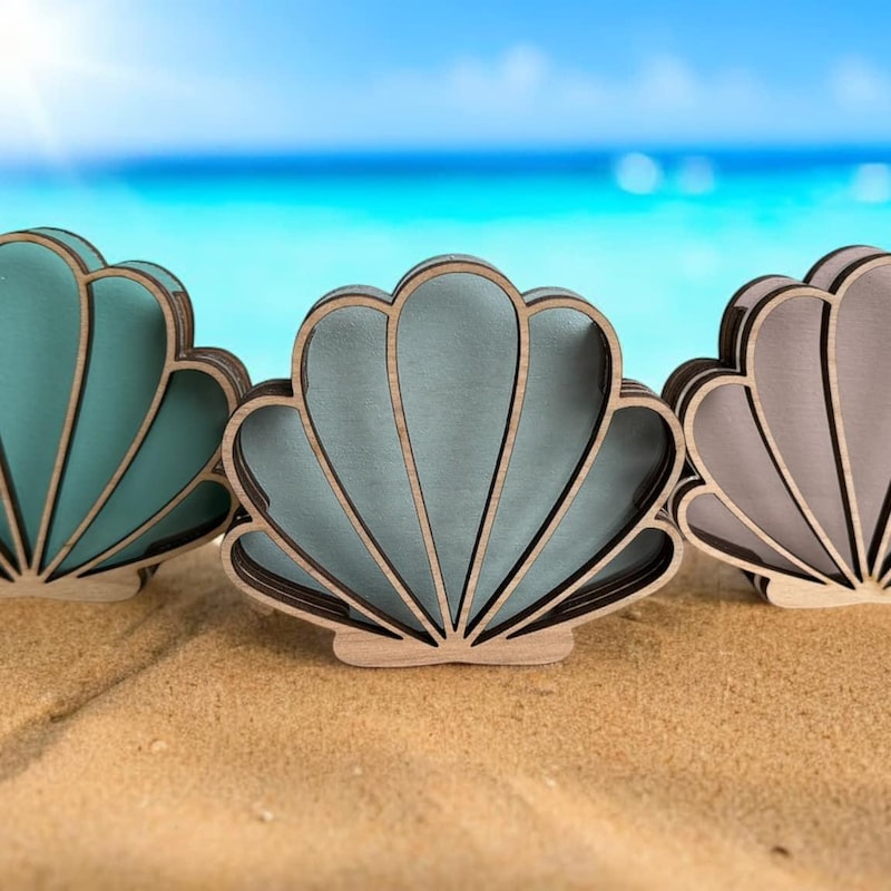 Display Box for Shell - Etsy