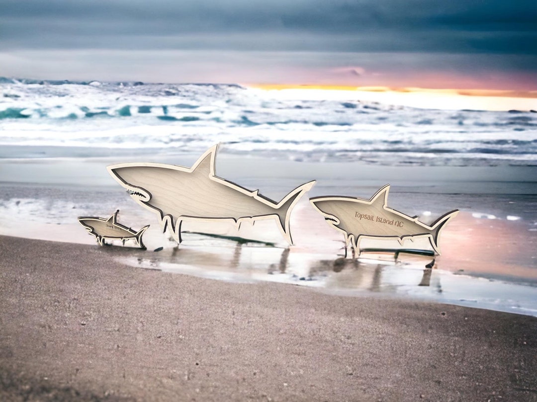 Shark Teeth Shadow Box for Shark Teeth, Beach Glass, Agates, Crystals ...