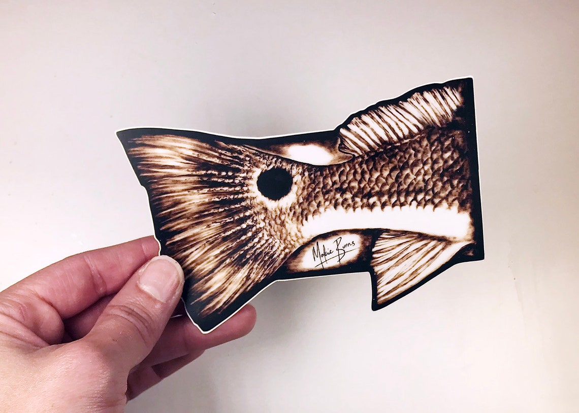 Redfish Tail CLEAR Vinyl Decal 5 Fish Art Print - Etsy