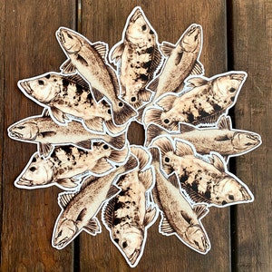 Peacock Bass Yeti Vinyl Decal Bass Fishing Art Print Decor - Etsy