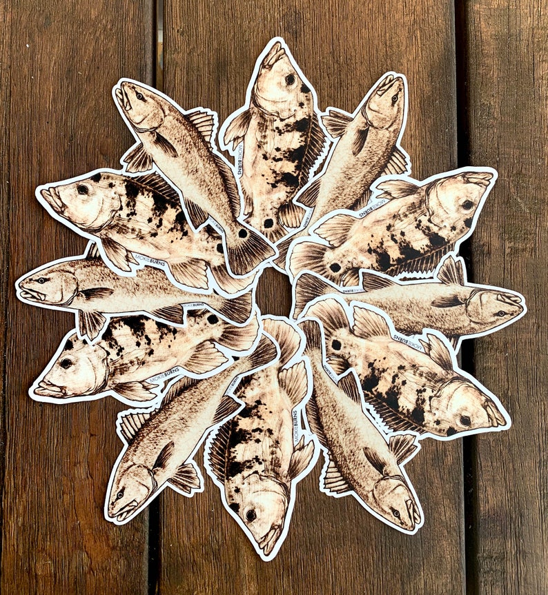 Peacock Bass Yeti Vinyl Decal Bass Fishing Art Print Decor - Etsy