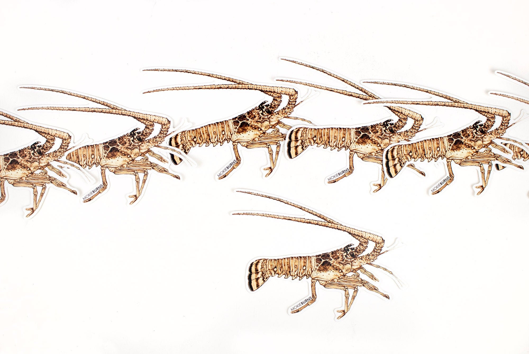 Florida Spiny Lobster Vinyl Decal Yeti Sticker SCUBA Diving - Etsy