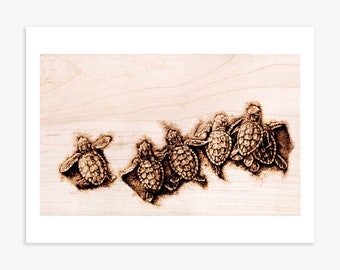Baby Sea Turtles Swimming in the Ocean Hawaii Art Print - Etsy
