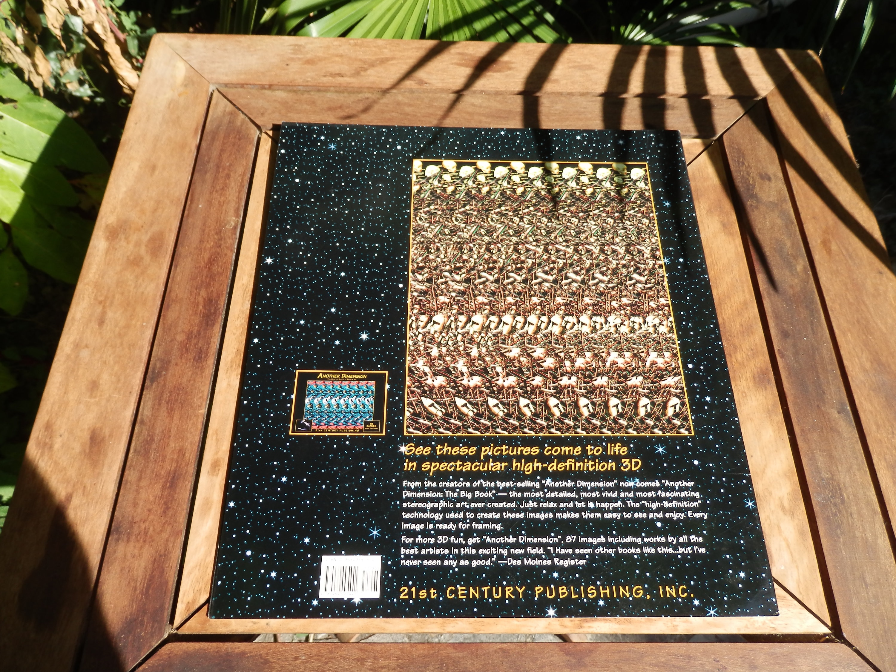 Another Dimension, the Big Book, Stereogram Book, 3D Vision, Optical ...